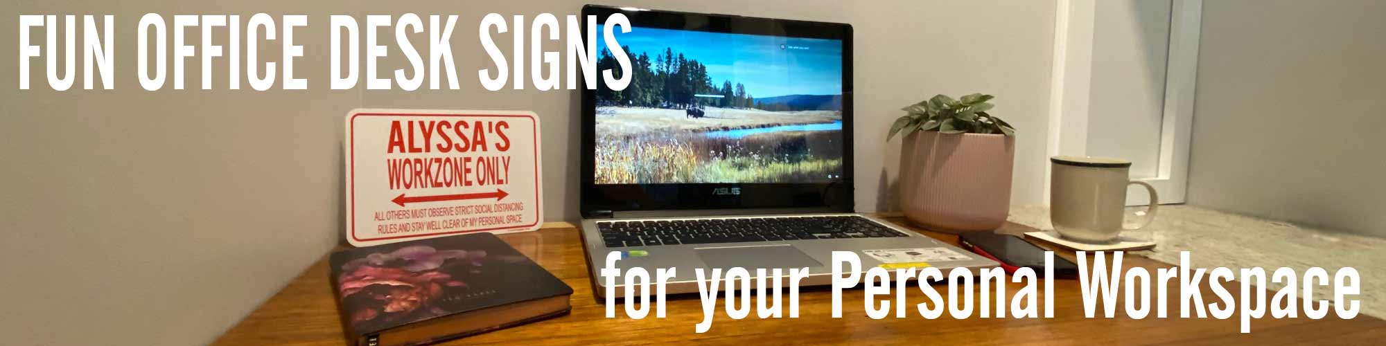 Miniature Fun Parking Signs and Desk Signs